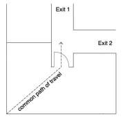 common path of travel • Qpractice NCIDQ Glossary